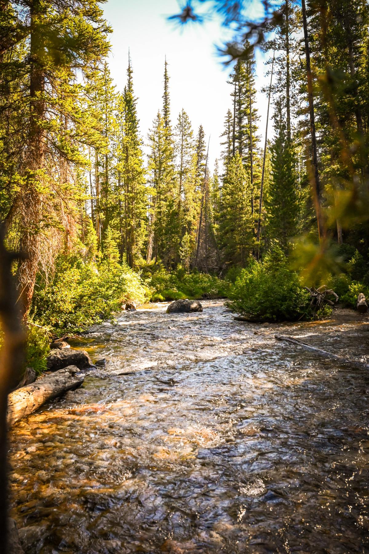 Backpacking the Stunning Alice Toxaway Loop in Idaho