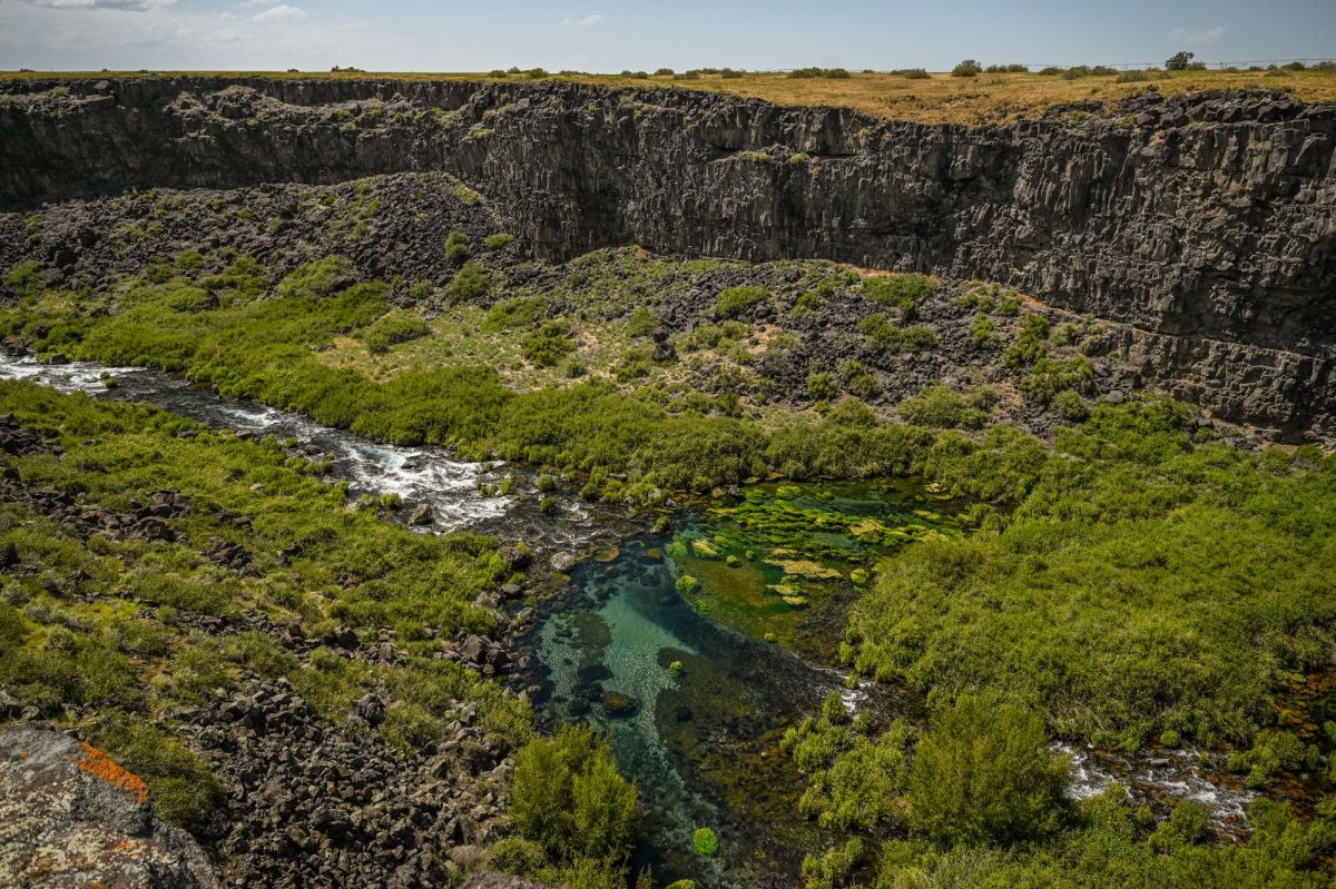 Box Canyon Springs: An Unexpected Oasis in Southern Idaho