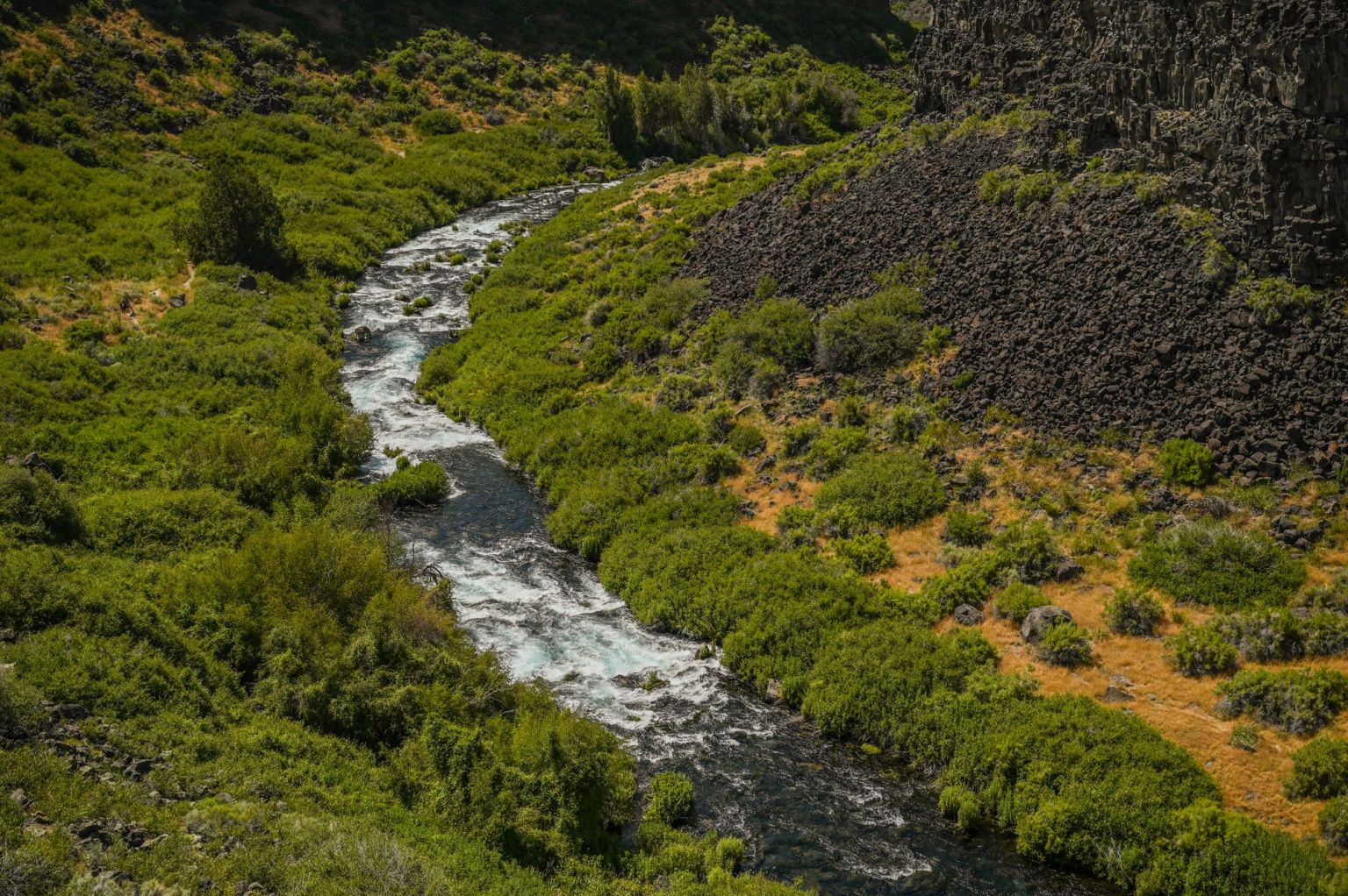 Box Canyon Springs: An Unexpected Oasis in Southern Idaho