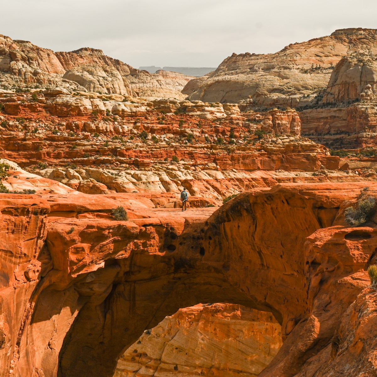 Moqui Caverns: Exploring the Kanab Sand Caves