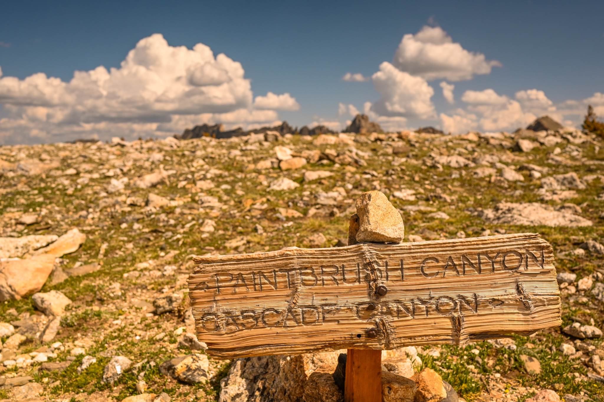 Paintbrush Canyon Cascade Canyon Loop: Complete Backpacking Guide