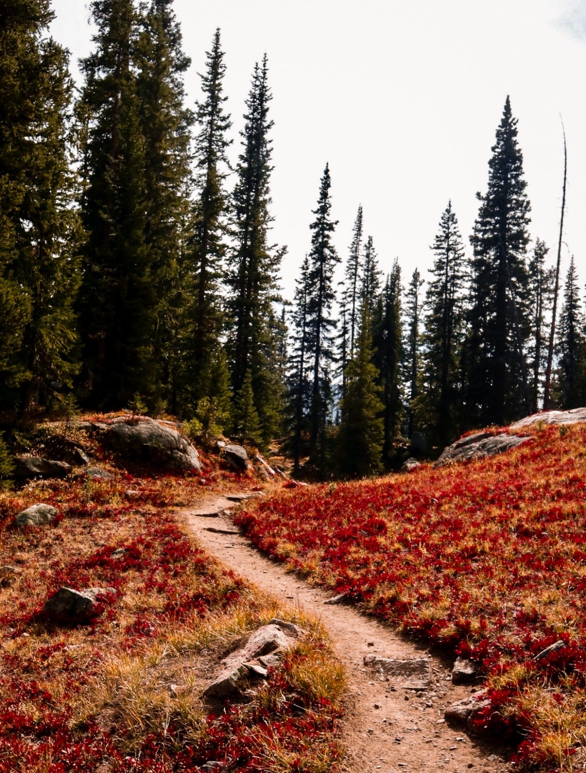 How to Hike Gore Lake Trail in Vail, Colorado - TWO OUTLIERS
