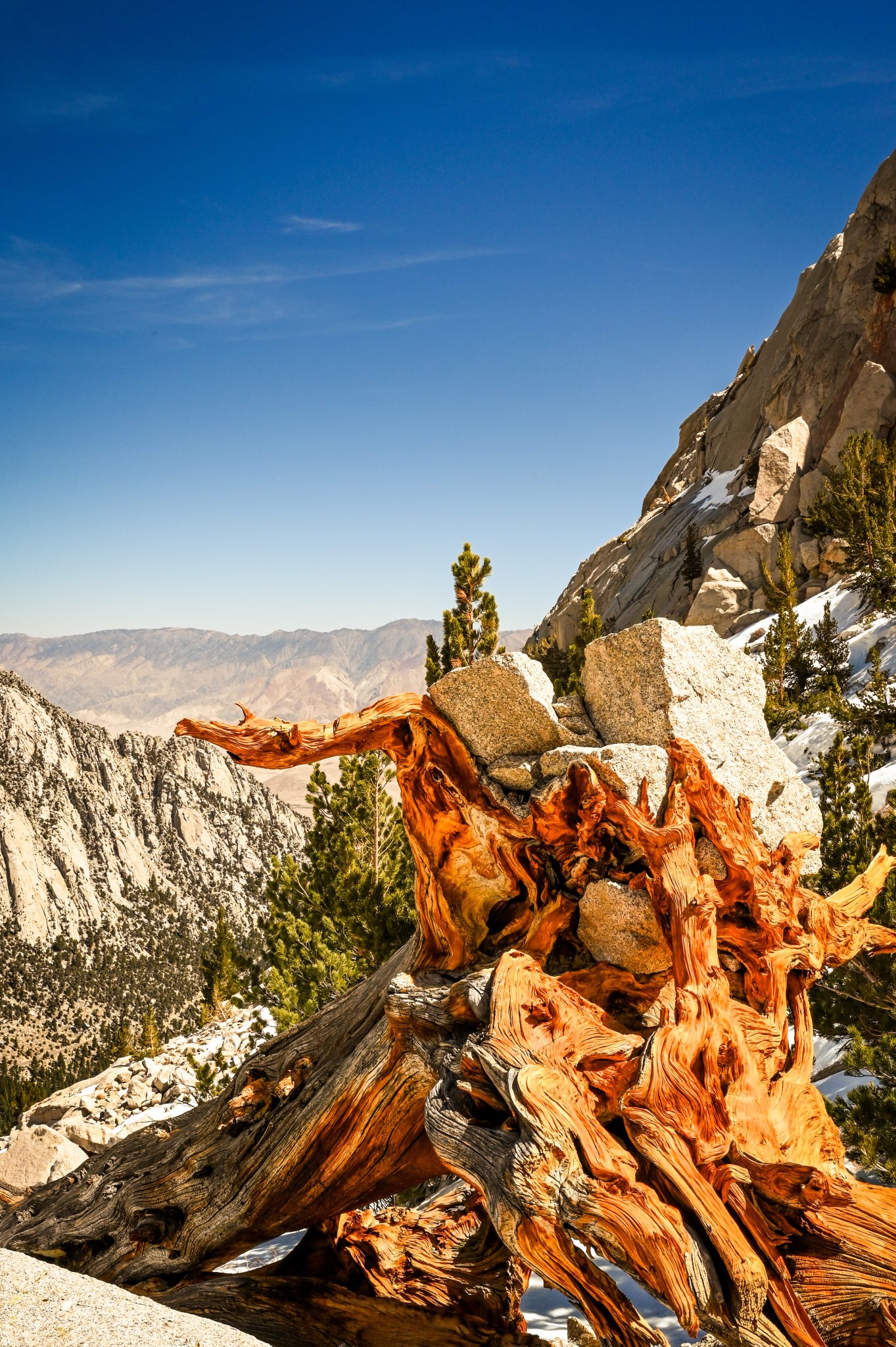 Lone Pine Lake Hike in Southern California: A Complete Guide