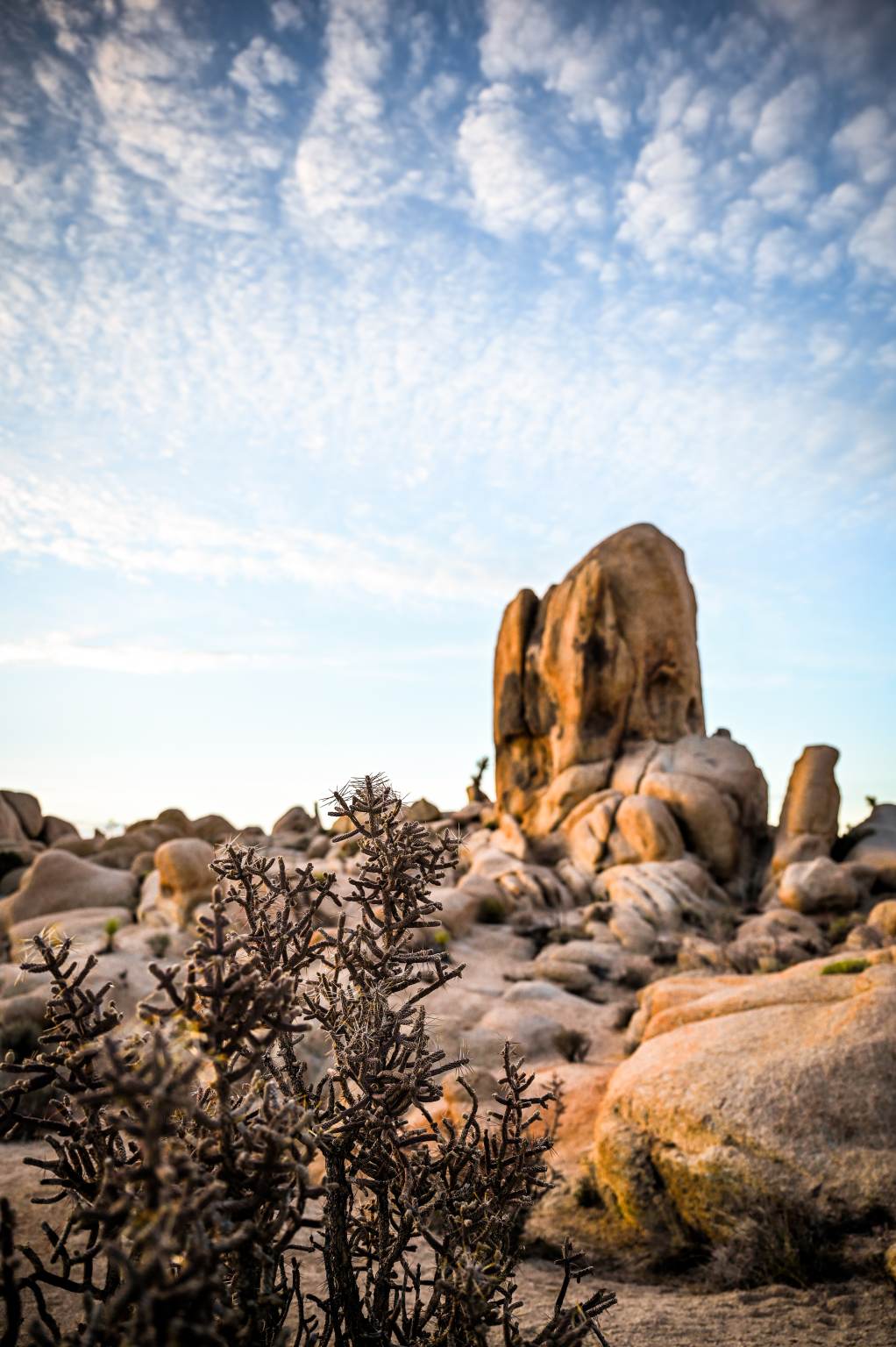 How to Spend One Day in Joshua Tree: a Jam-Packed Itinerary - TWO OUTLIERS