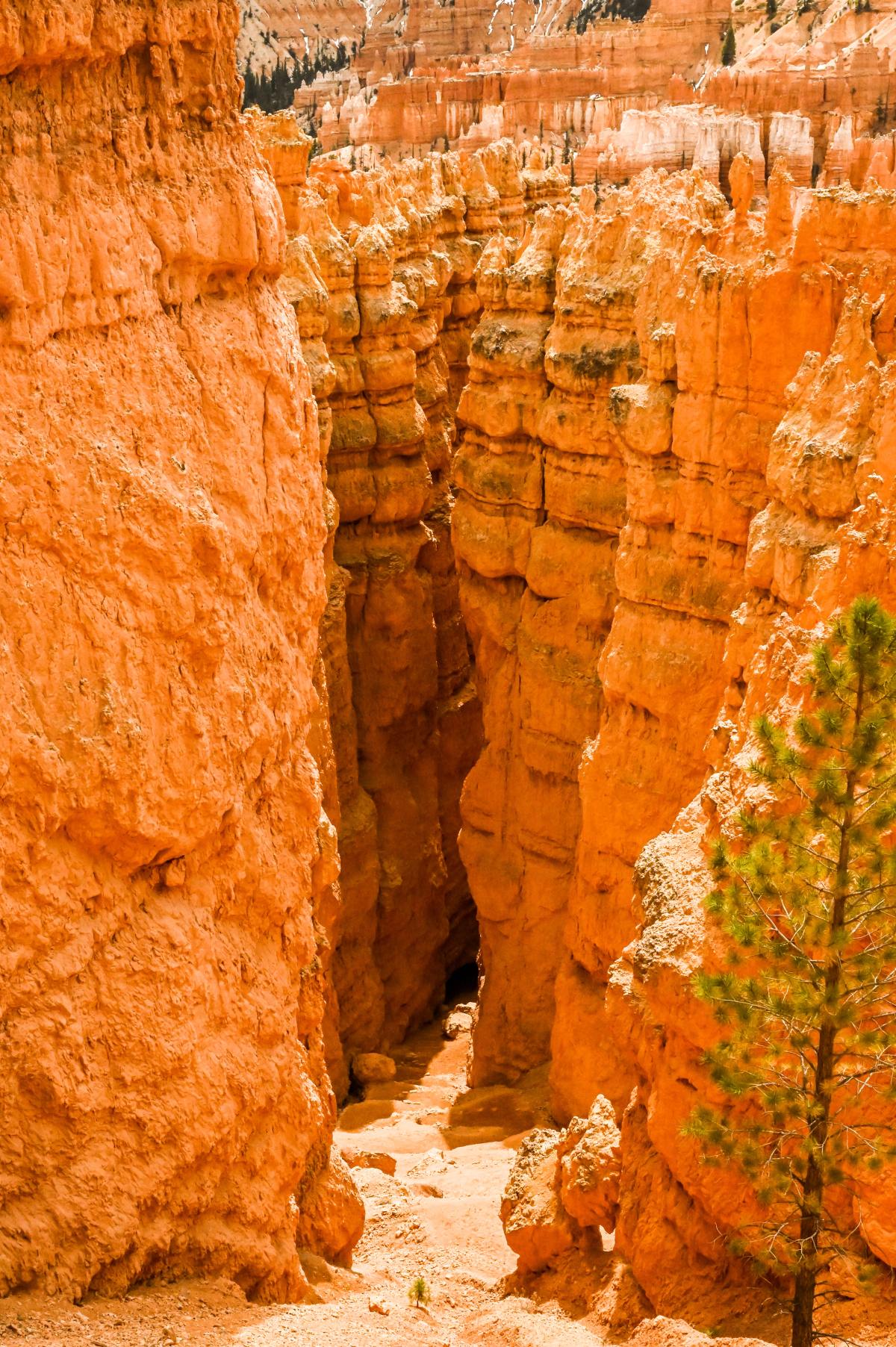 How to Hike the Epic Figure 8 Loop in Bryce Canyon