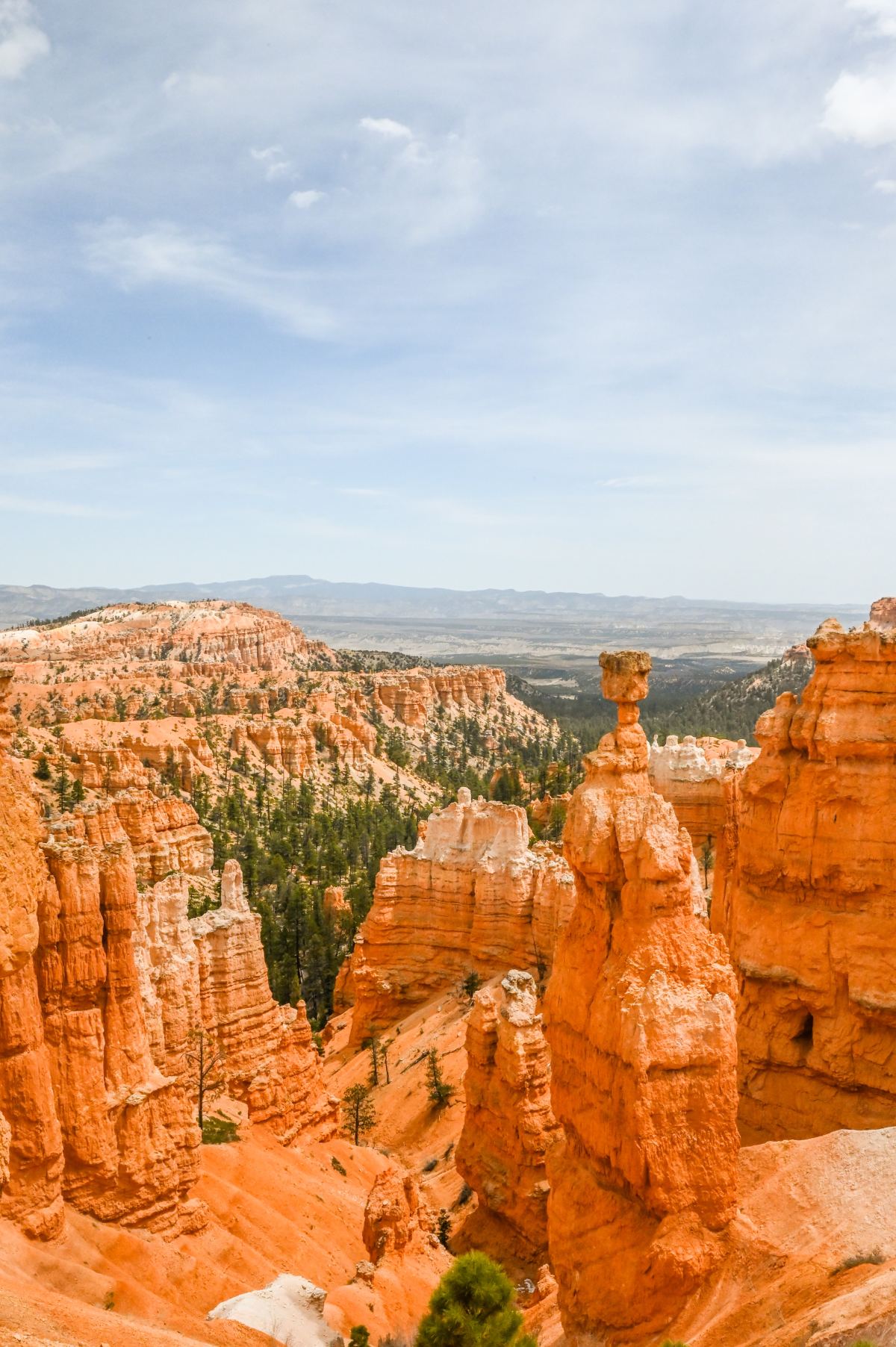 How to Hike the Epic Figure 8 Loop in Bryce Canyon