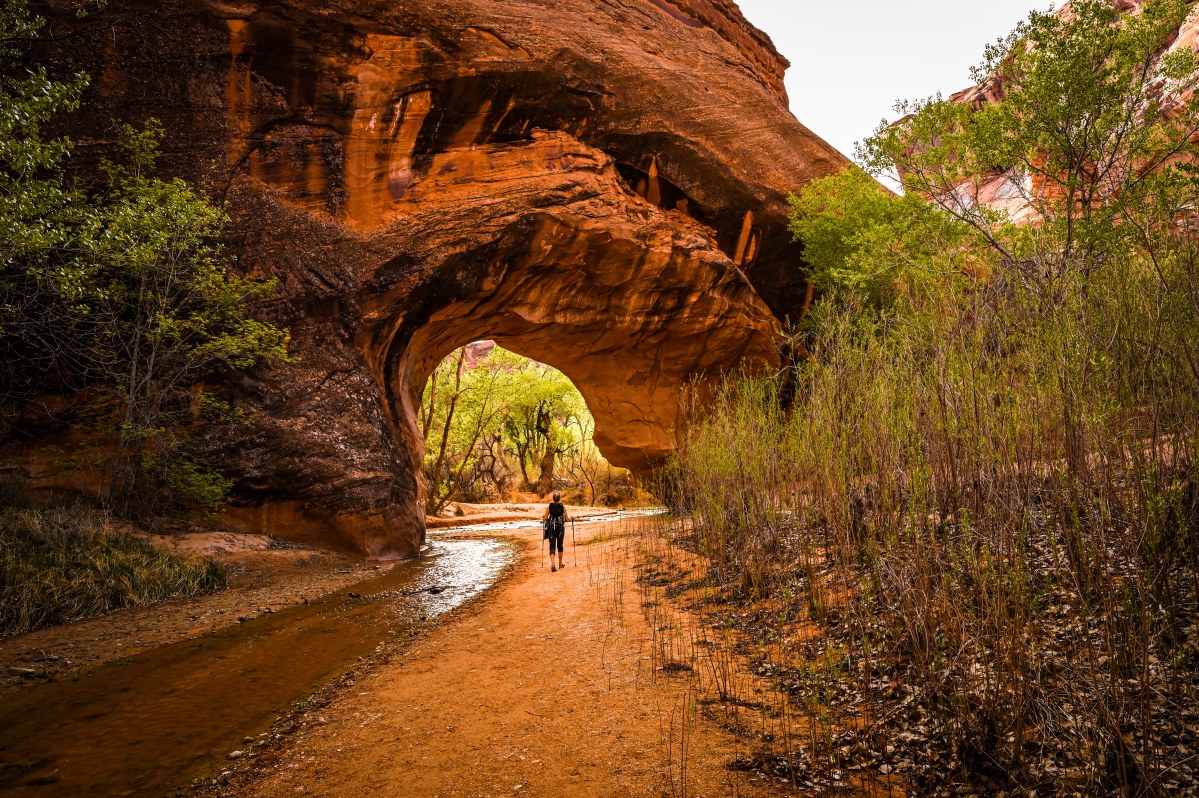18 Best Things to Do in Escalante, Utah: A Complete Guide