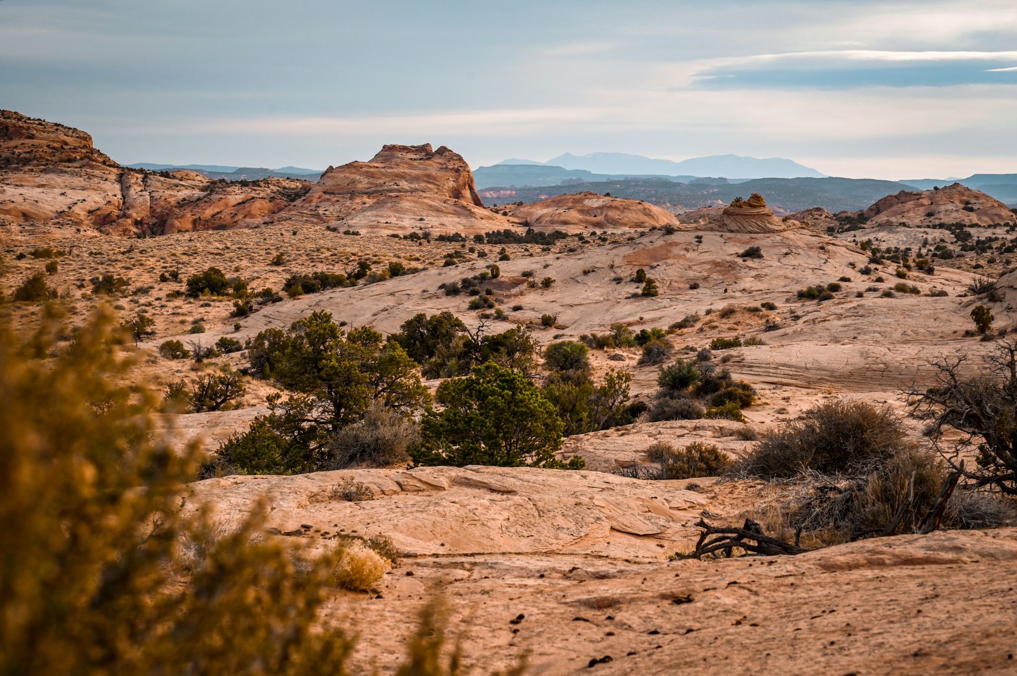 Cosmic Ashtray in Escalante, Utah: Trail Guide