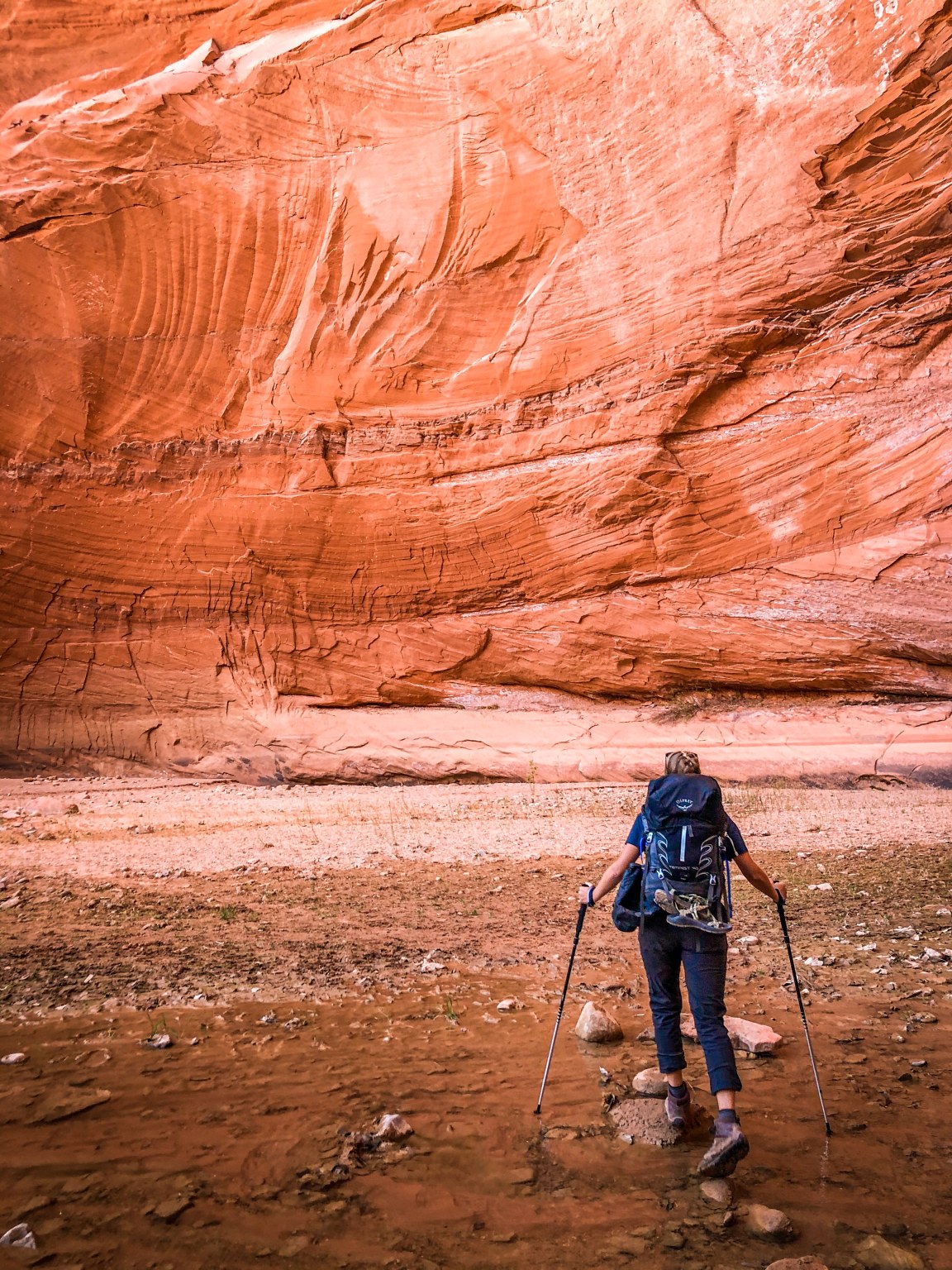 14 Best Grand Staircase-Escalante Hikes