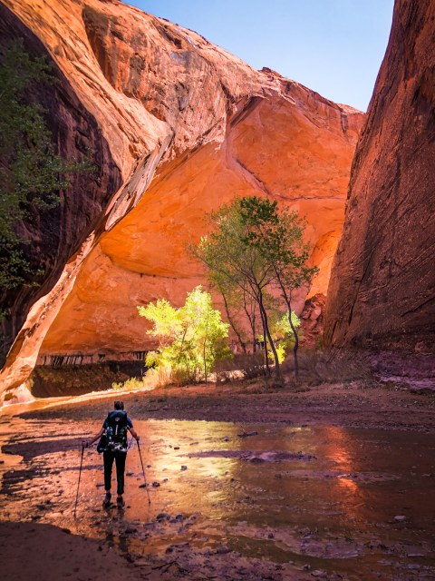 14 Best Grand Staircase-Escalante Hikes