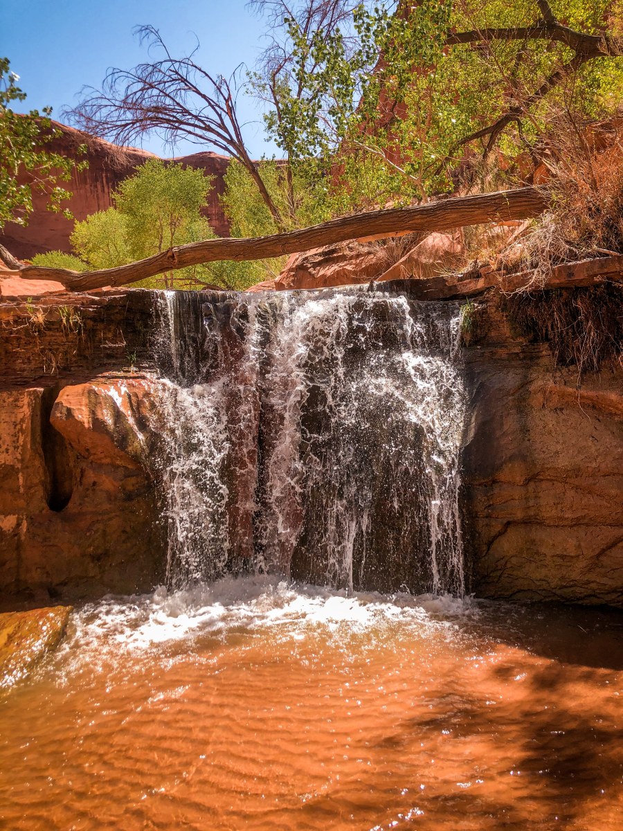Coyote Gulch, Utah: Hike & Backpacking Guide
