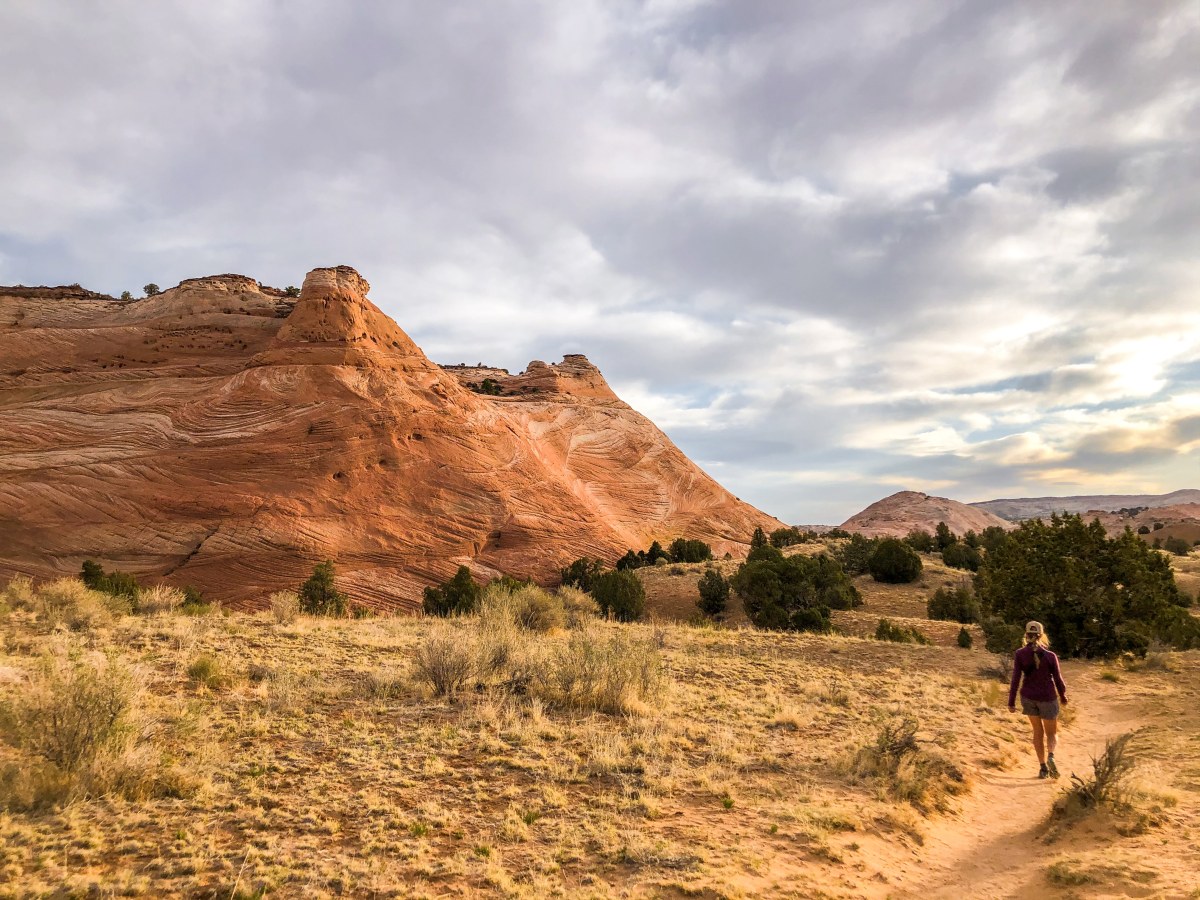 Zebra Slot Canyon: Hike Guide