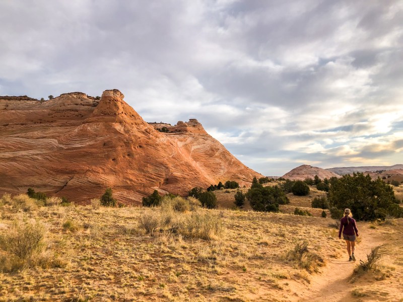 A Complete Guide to Zebra Slot Canyon: Utah's Hidden Gem