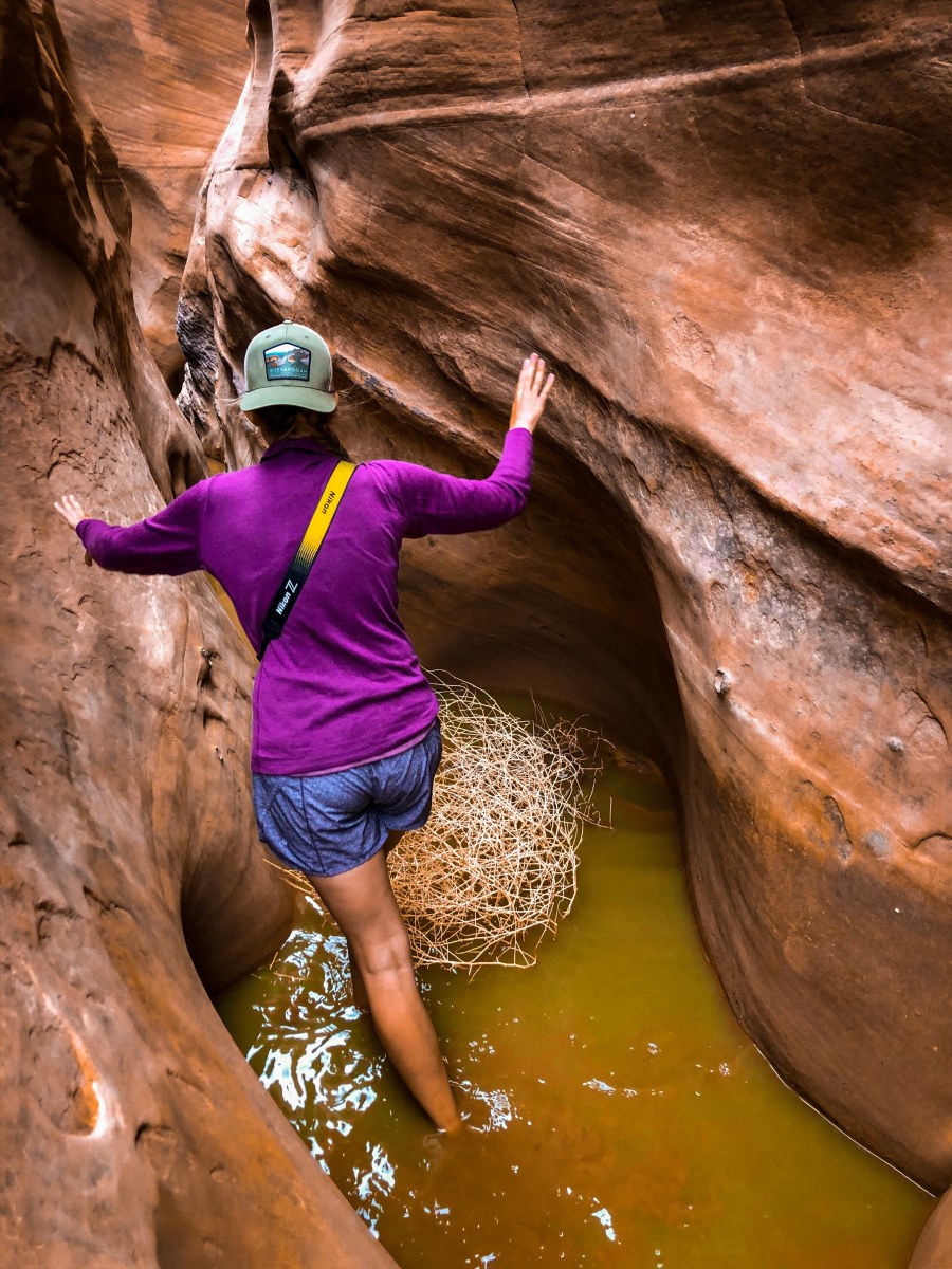 A Complete Guide to Zebra Slot Canyon: Utah's Hidden Gem
