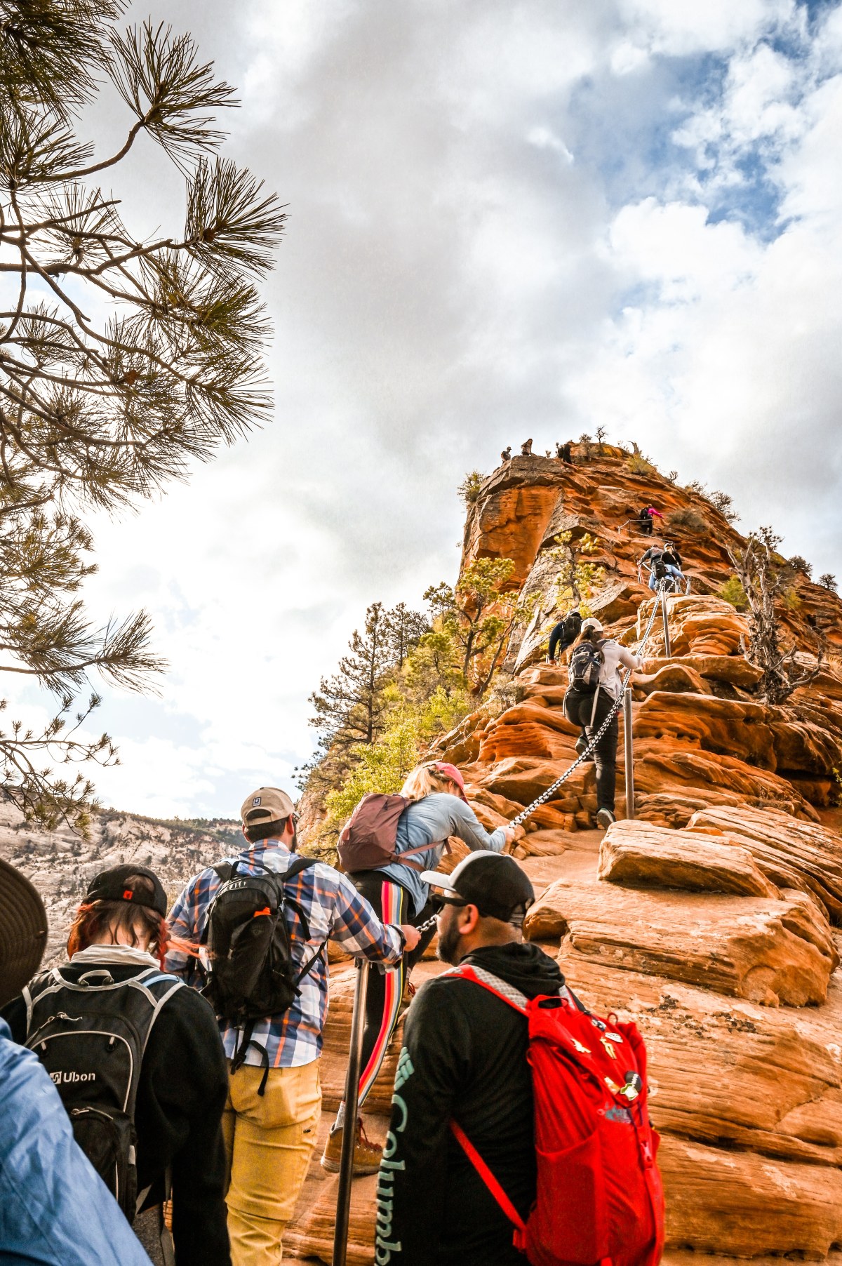 West Rim Trail Zion National Park: Ultimate Backpacking Guide