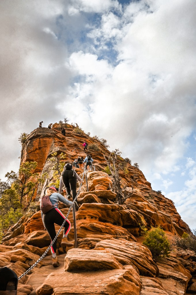 Is Scout Lookout in Zion Worth the Hike?