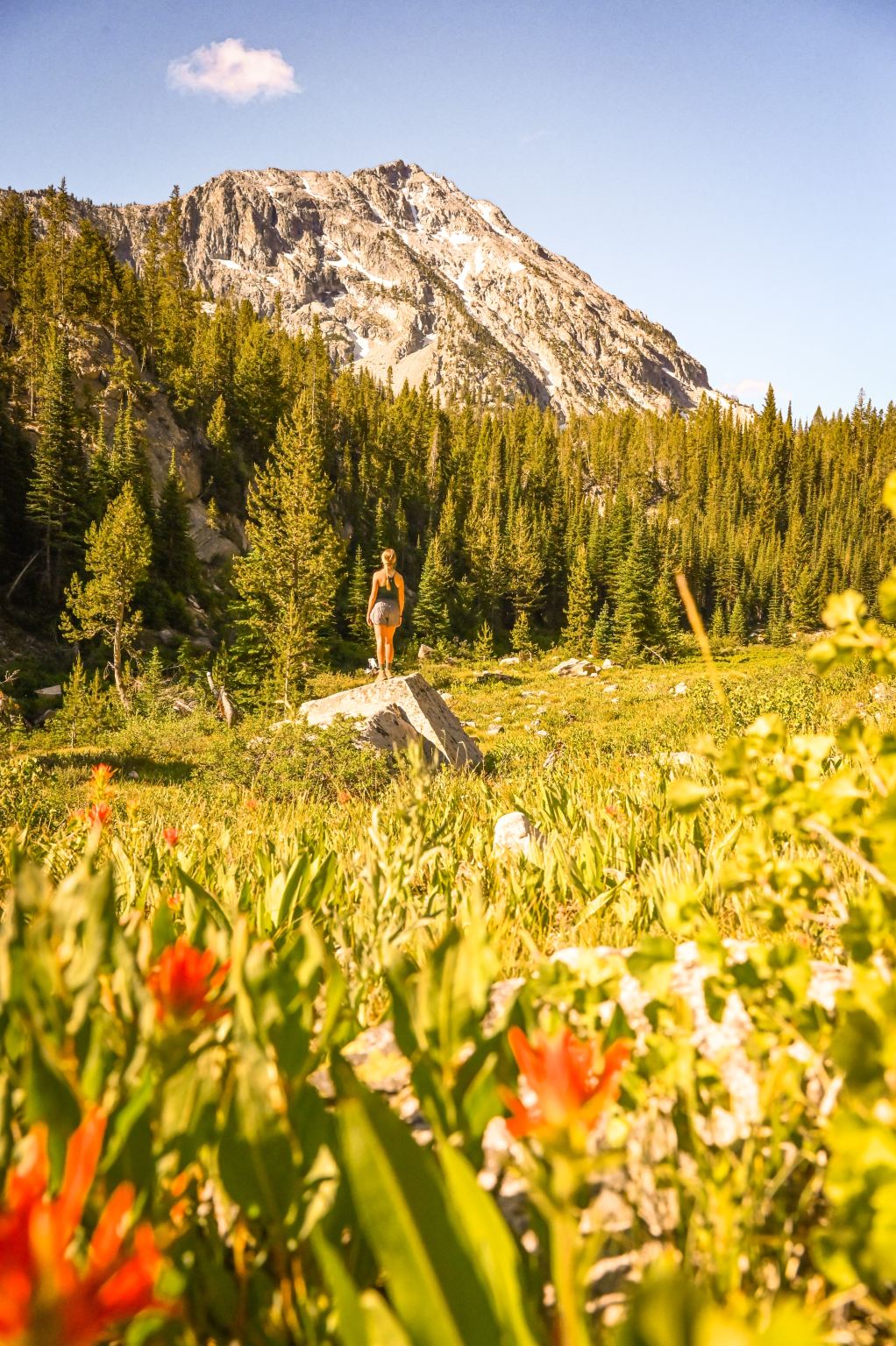 Backpacking the Stunning Alice Toxaway Loop in Idaho