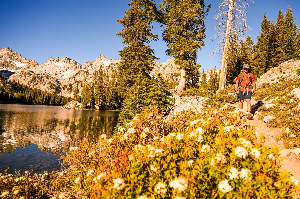Alice Lake in Idaho's Sawtooth Mountains: A Complete Guide