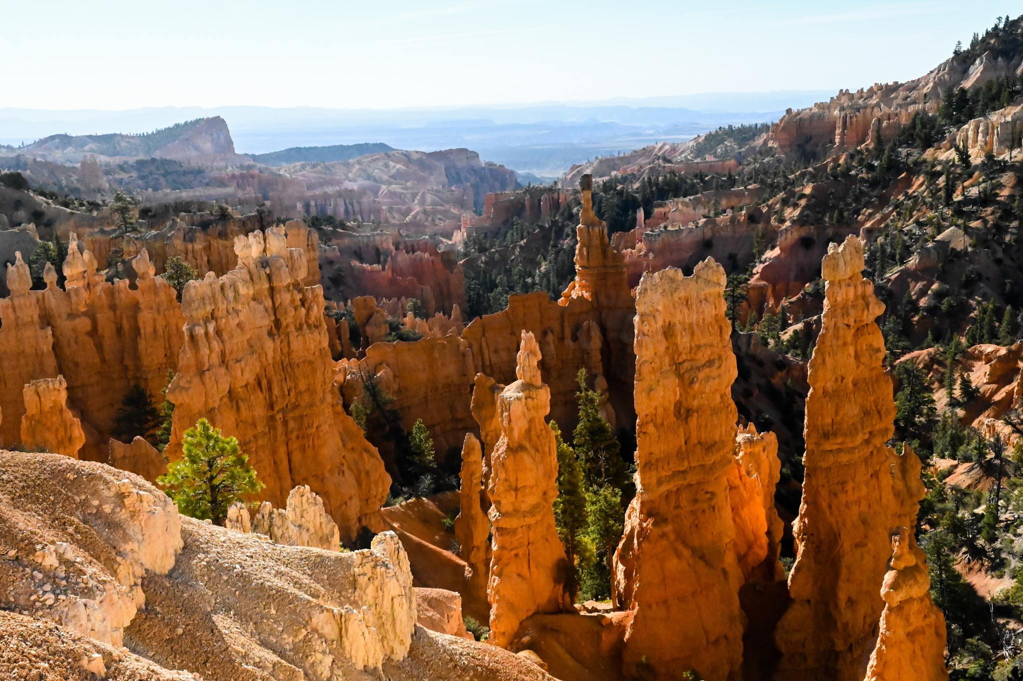 A Complete Guide to Hiking the Fairyland Loop Bryce Canyon