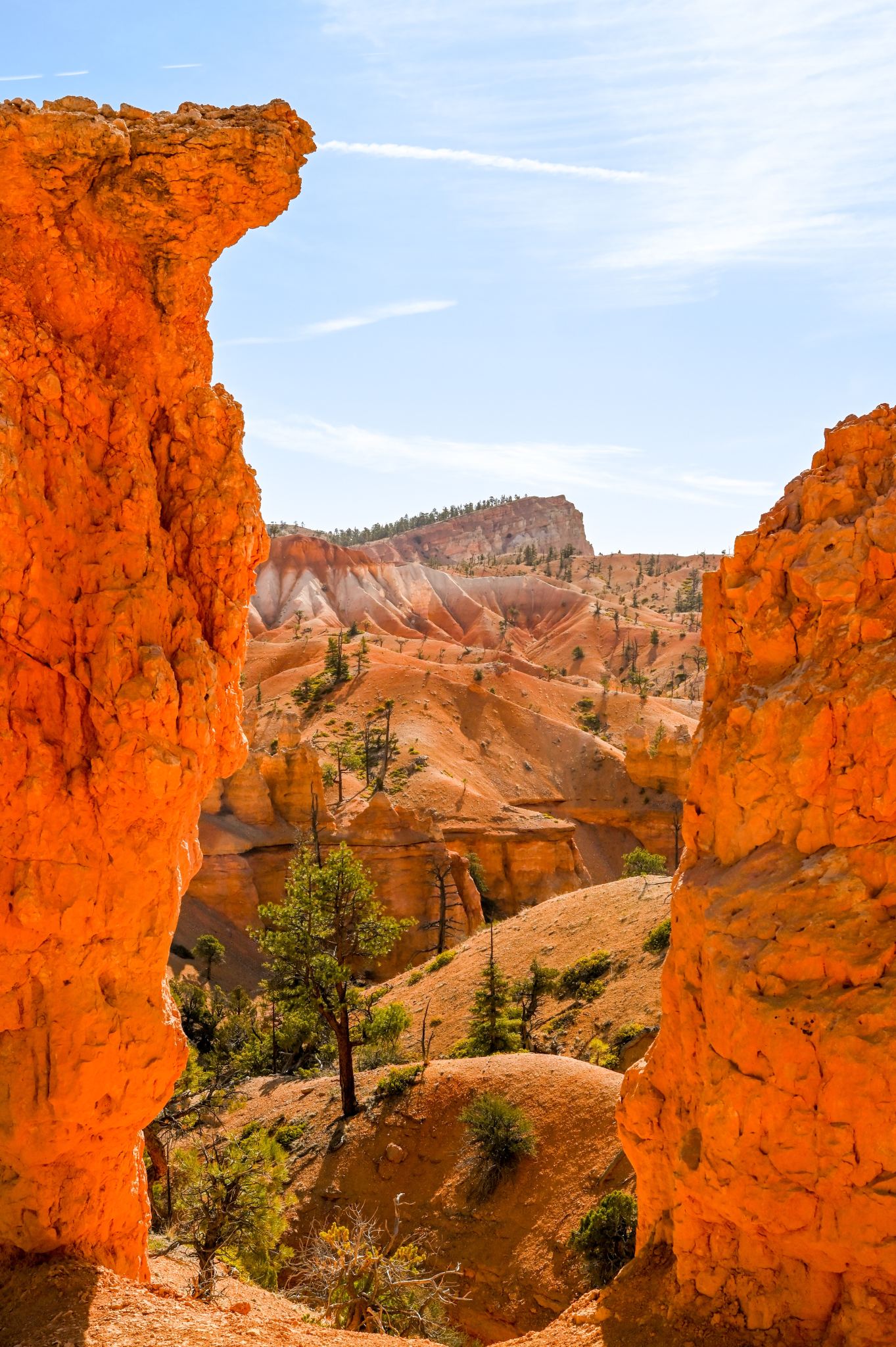 A Complete Guide to Hiking the Fairyland Loop Bryce Canyon