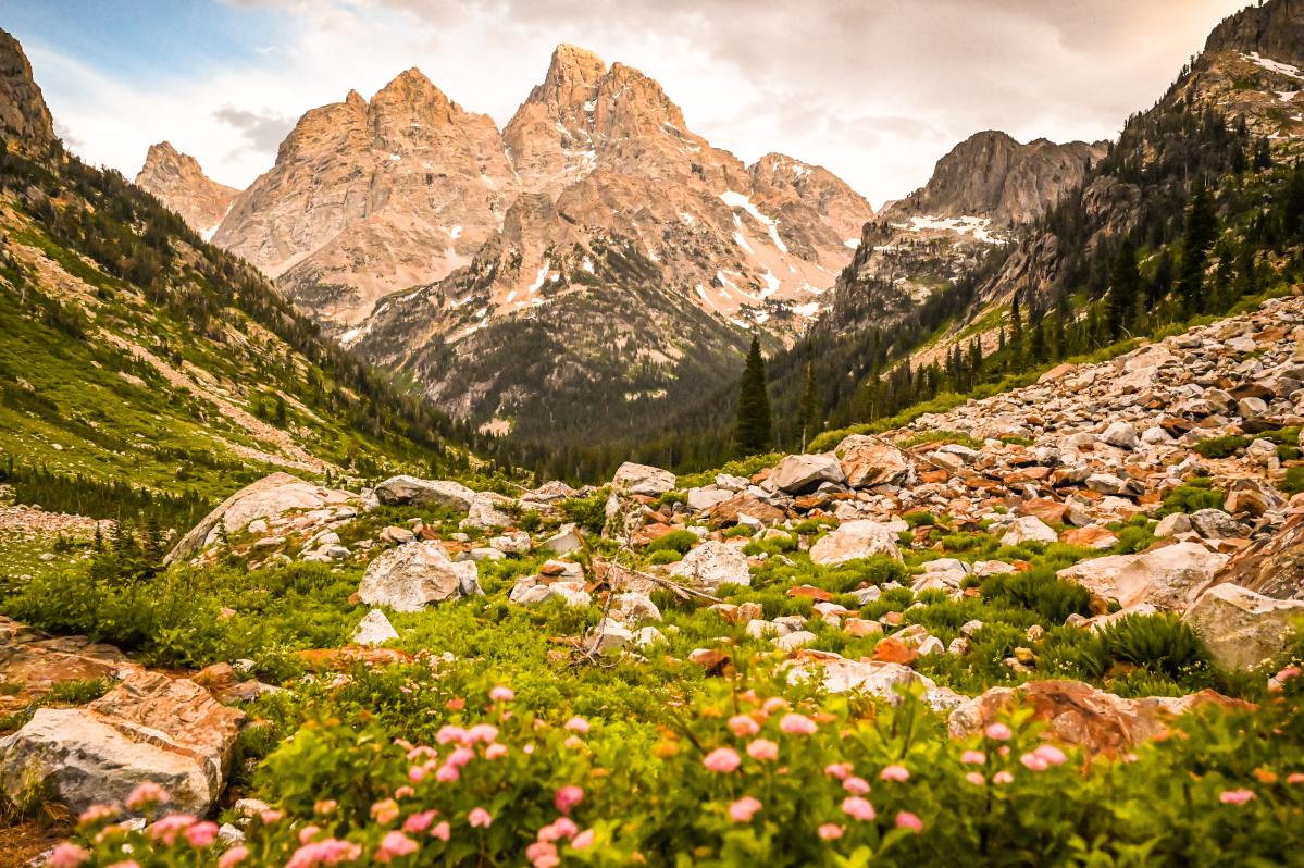 Paintbrush Canyon Cascade Canyon Loop: Complete Backpacking Guide