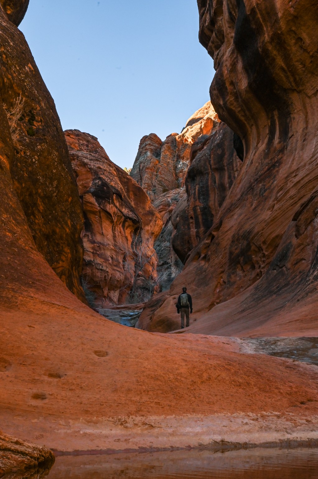 Hiking the Red Reef Trail in Utah: An Underrated Adventure