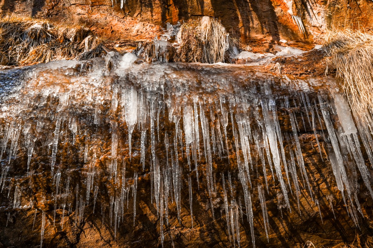 Complete Zion National Park Packing List