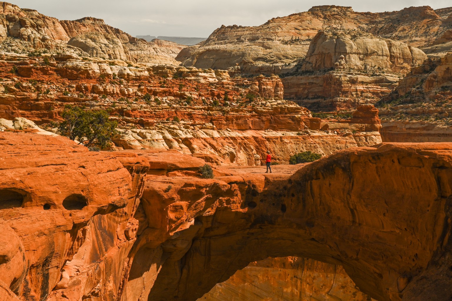 24 Best Hikes in Southern Utah