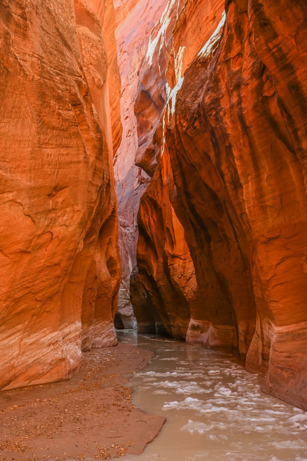 12 Stunning Hikes Near Kanab, Utah