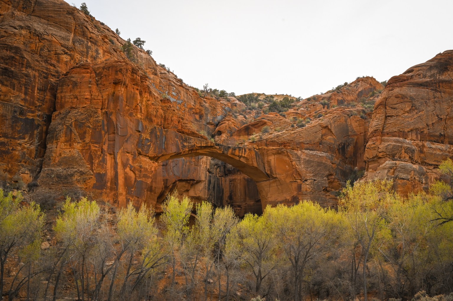 51 Incredible Things to do in Southern Utah - Two Outliers