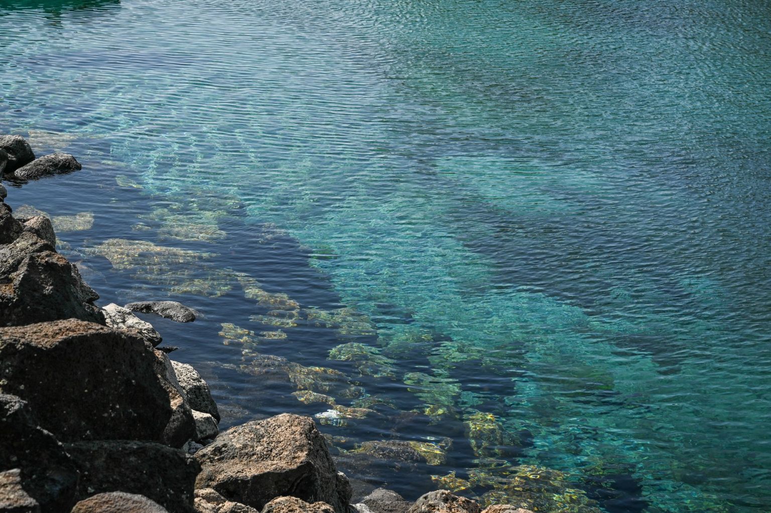 Blue Heart Springs Kayaking Trip: Idaho's Tropical Lagoon
