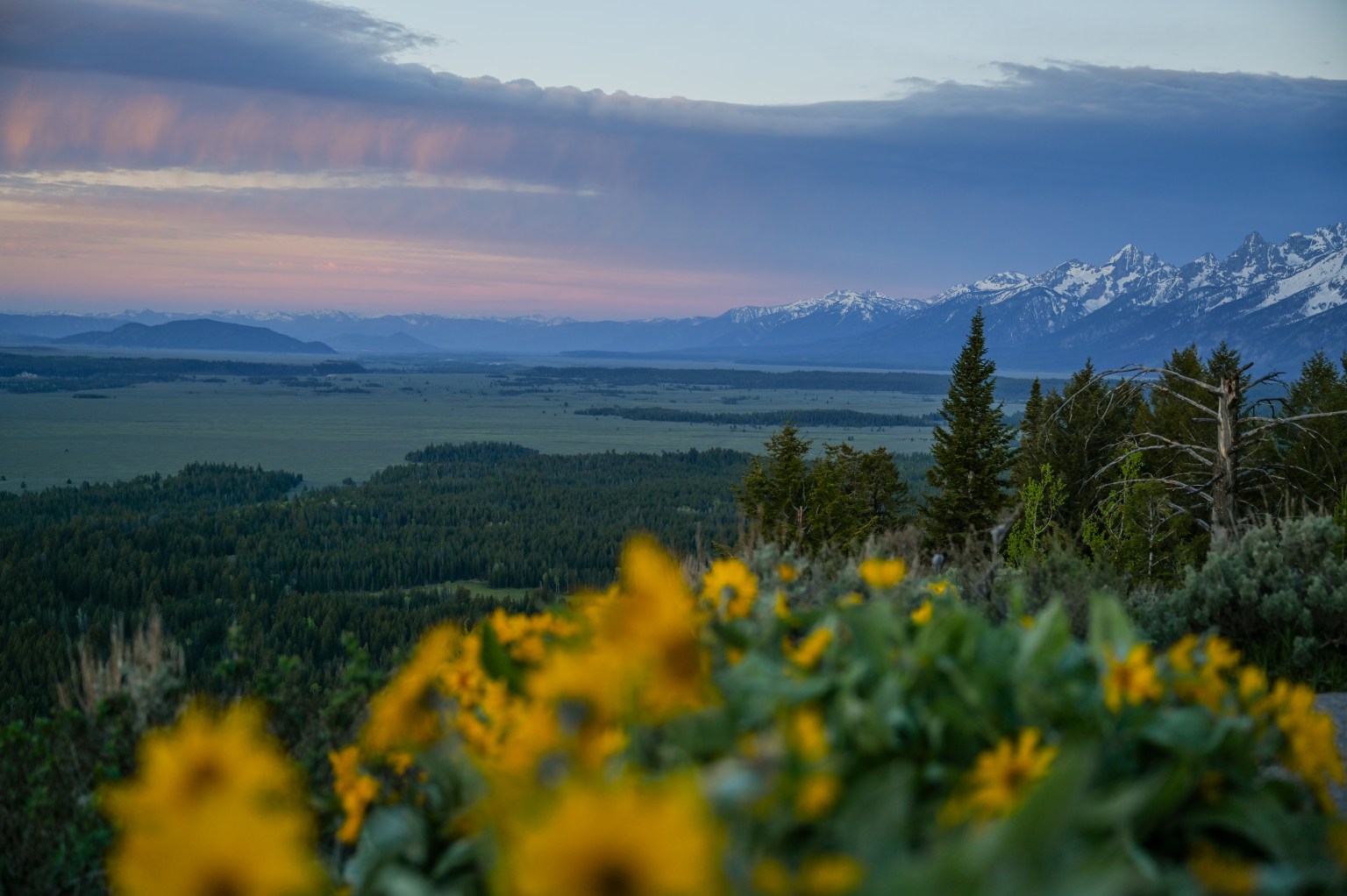 22 Amazing Things to Do in Jackson, Wyoming