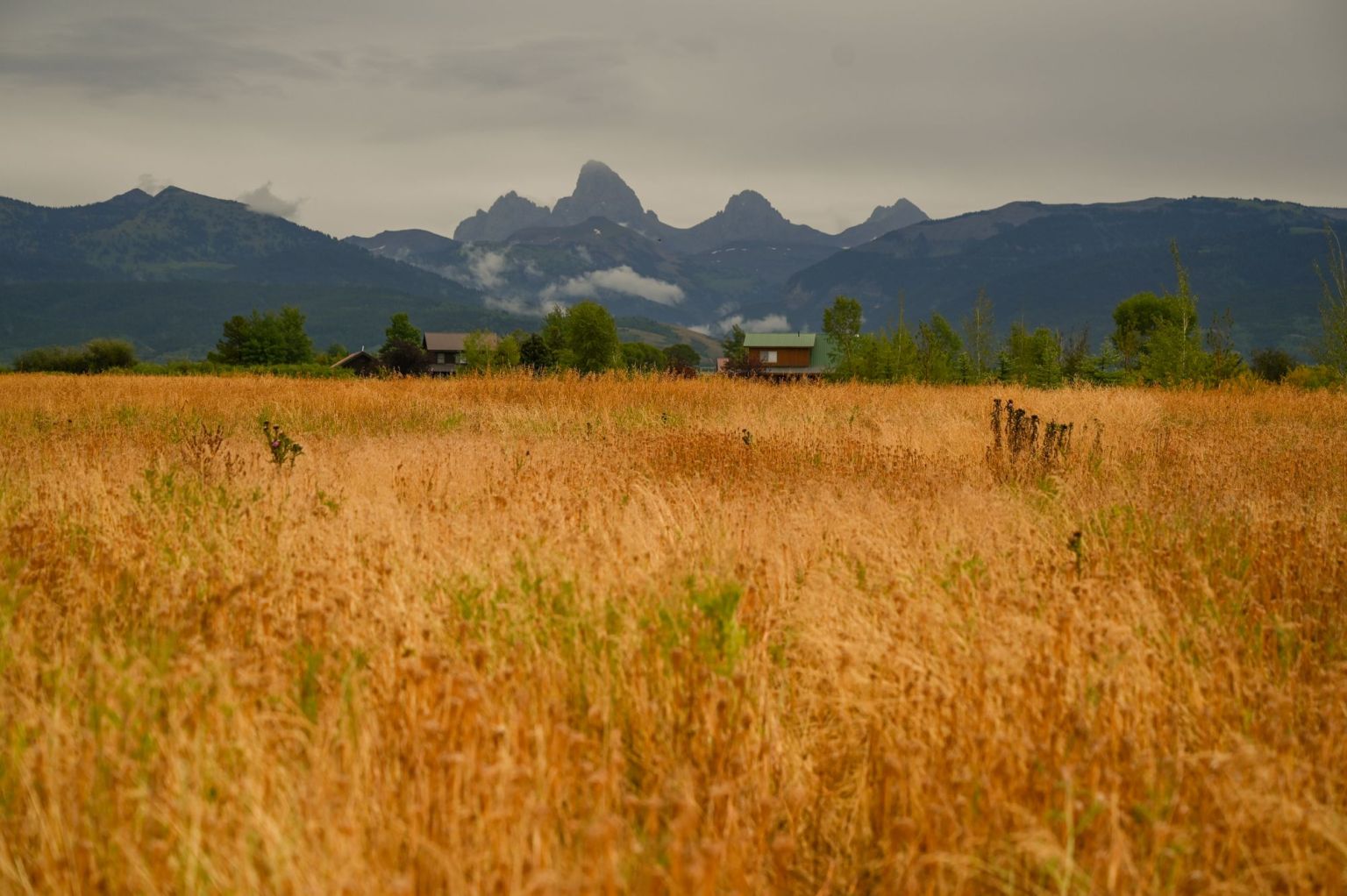 Best Things to Do in Driggs & Victor, Idaho