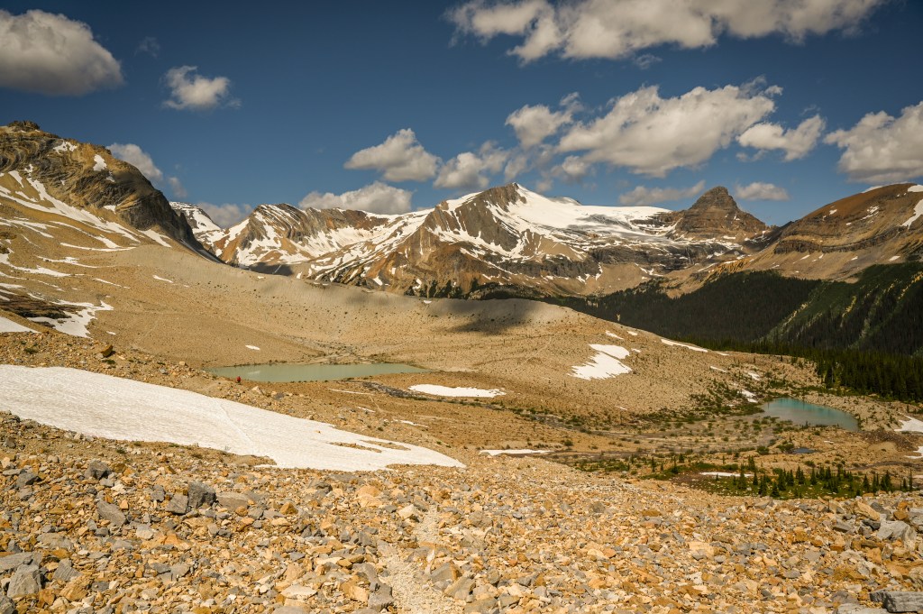 Iceline Trail in Yoho National Park: Complete Hike Guide