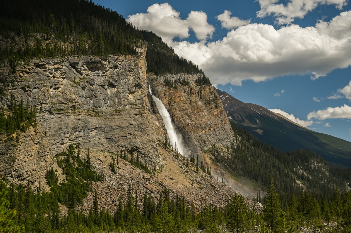 Iceline Trail in Yoho National Park: Complete Hike Guide