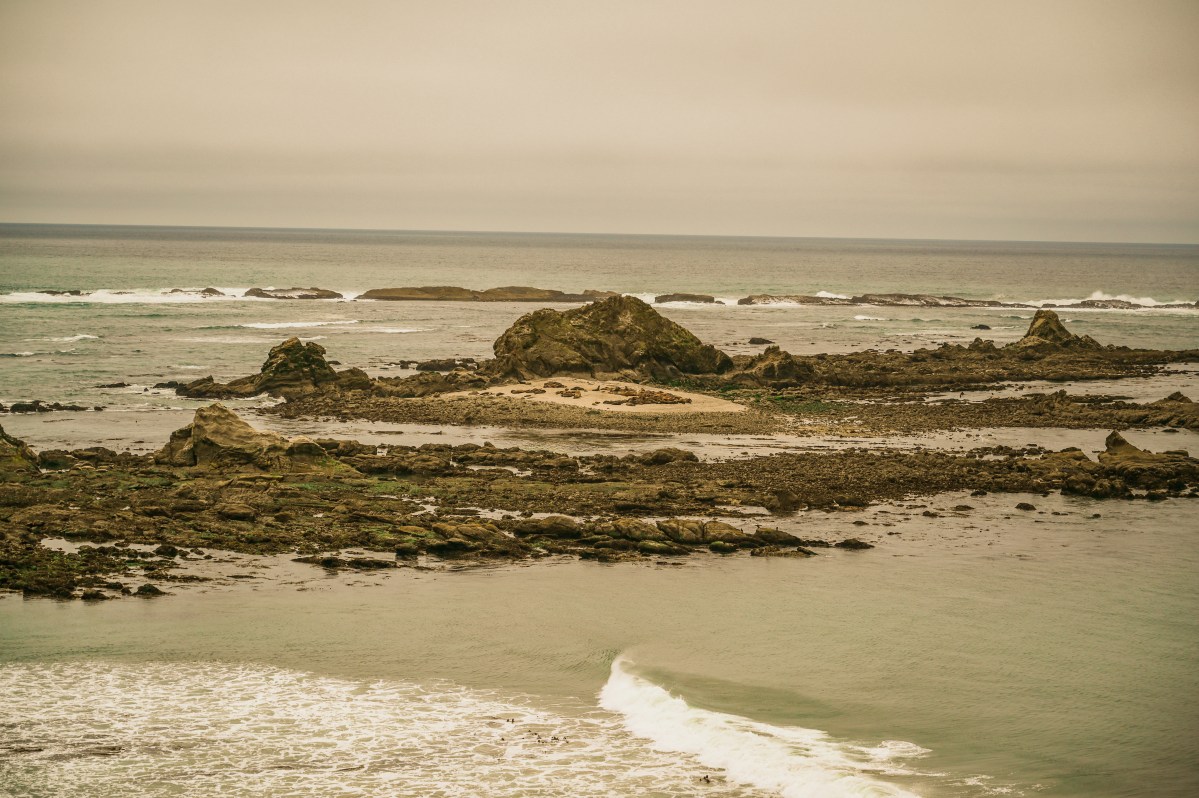 20 Amazing Things to do in Coos Bay, Oregon