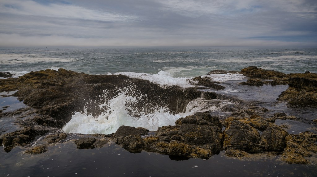 Hobbit Trail in Florence, Oregon: A Magical Forest to Beach Hike - Two ...