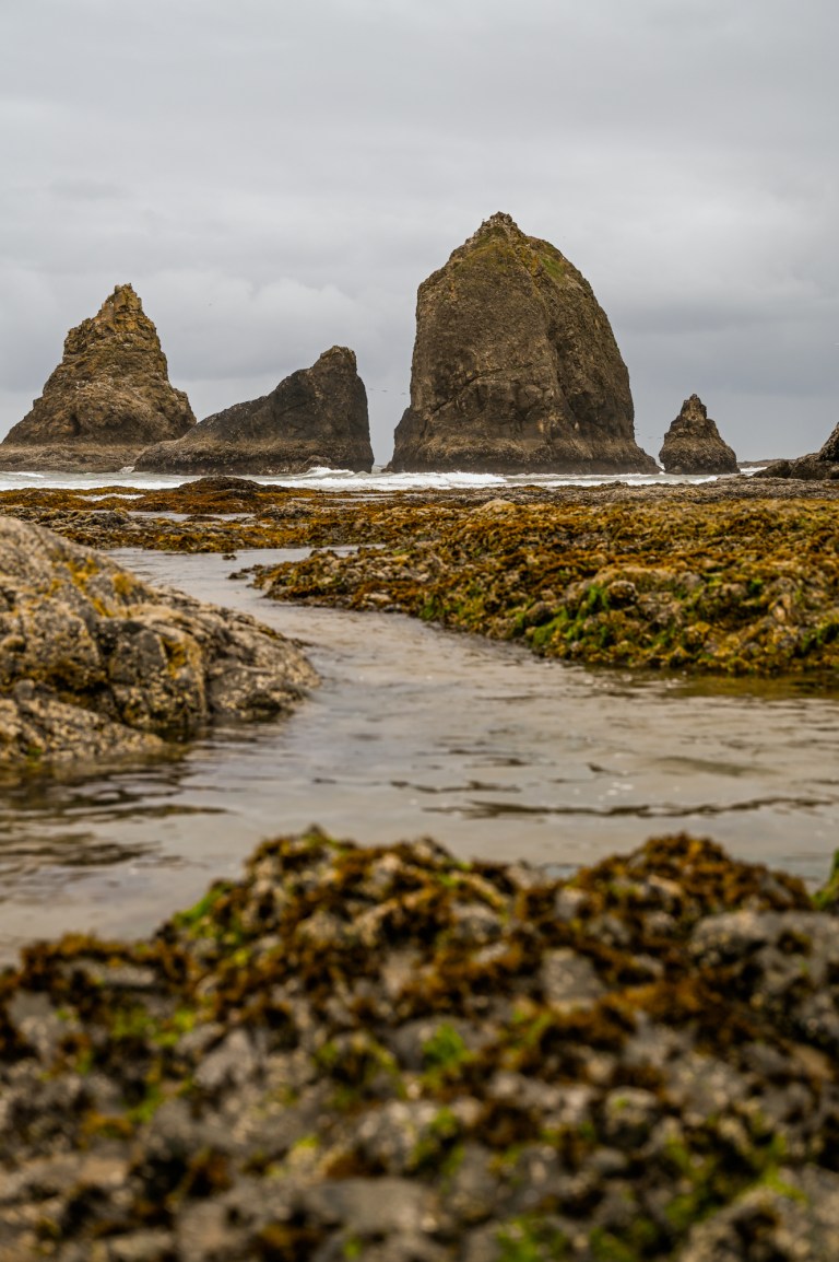 Why Oceanside, Oregon is Worth a Visit: A Hidden Gem on the Oregon Coast