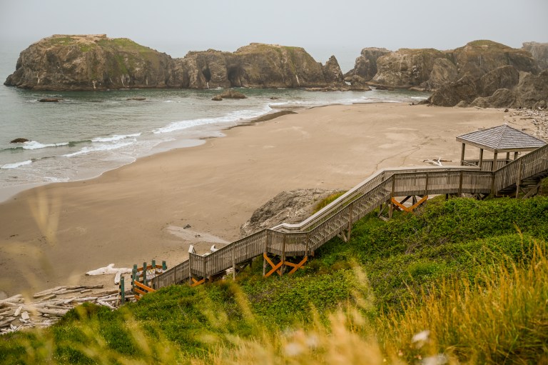 Hobbit Trail in Florence, Oregon: A Magical Forest to Beach Hike