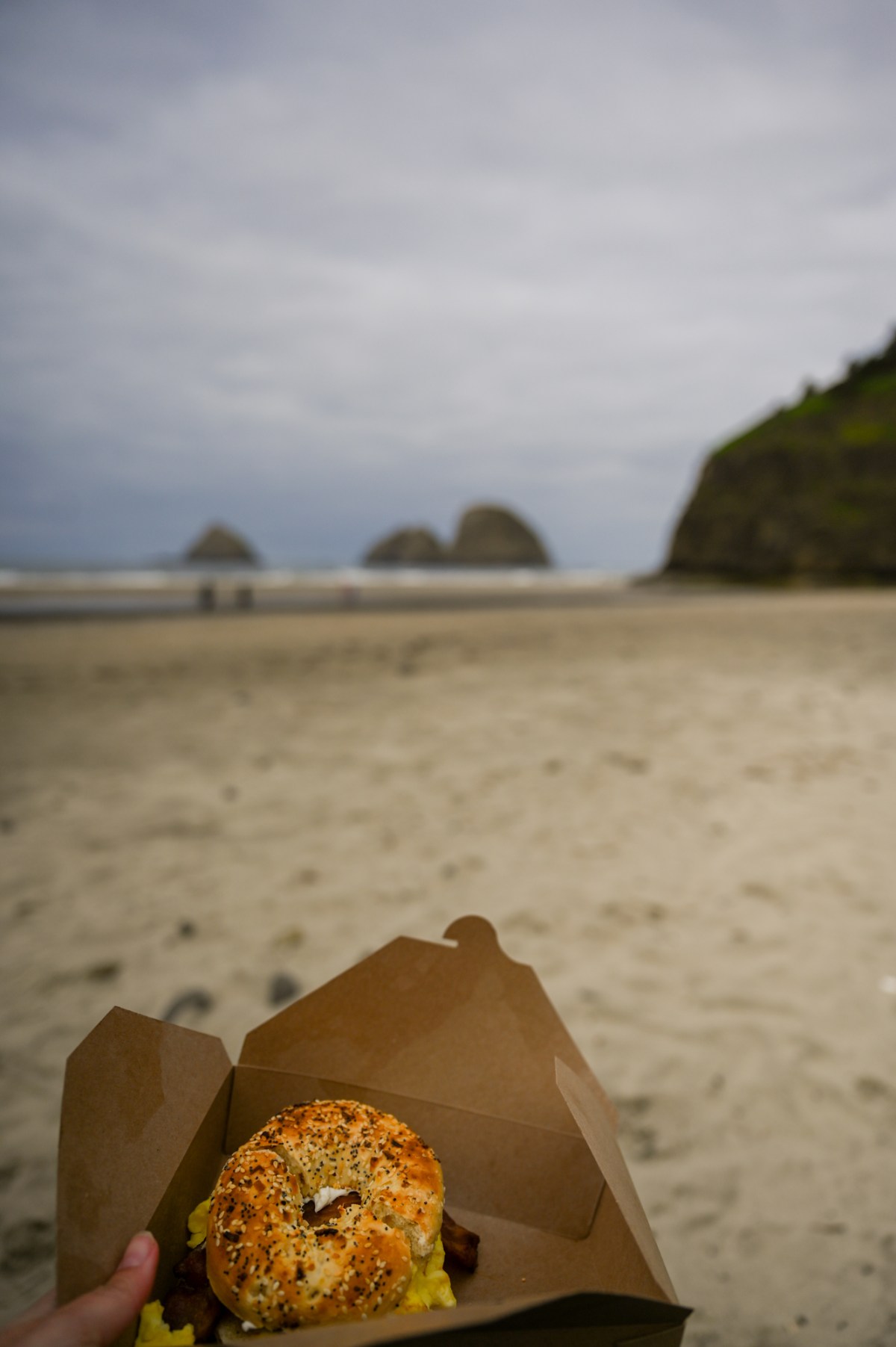Tunnel Beach in Oregon: Explore a Hidden Beach on the Oregon Coast
