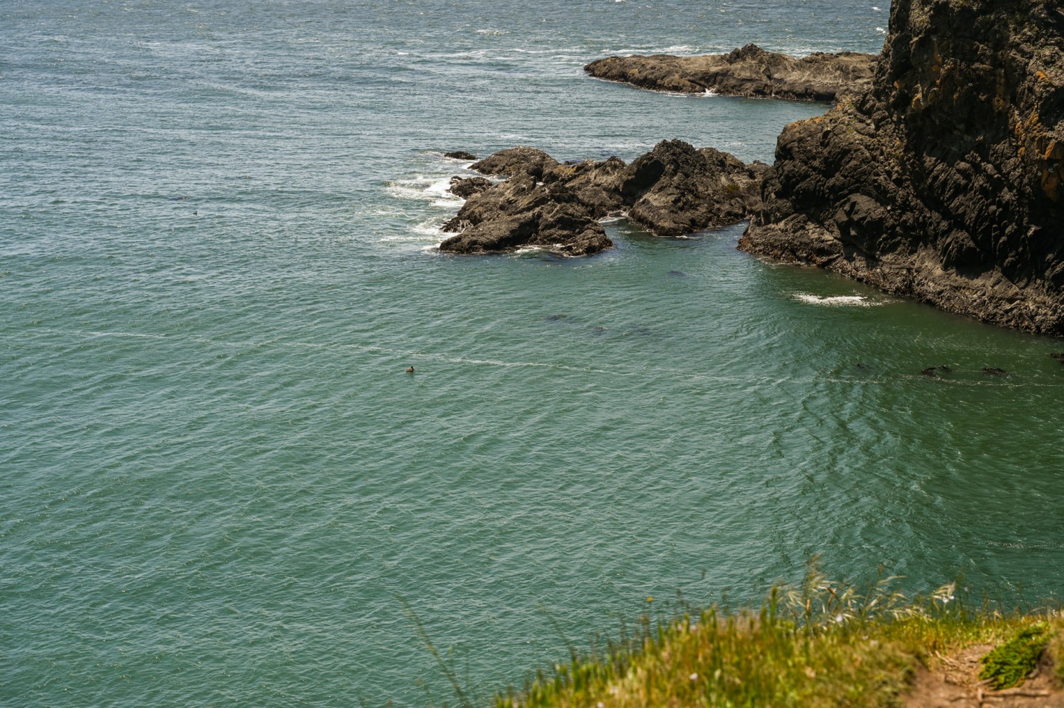 How to Visit Secret Beach on the Oregon Coast