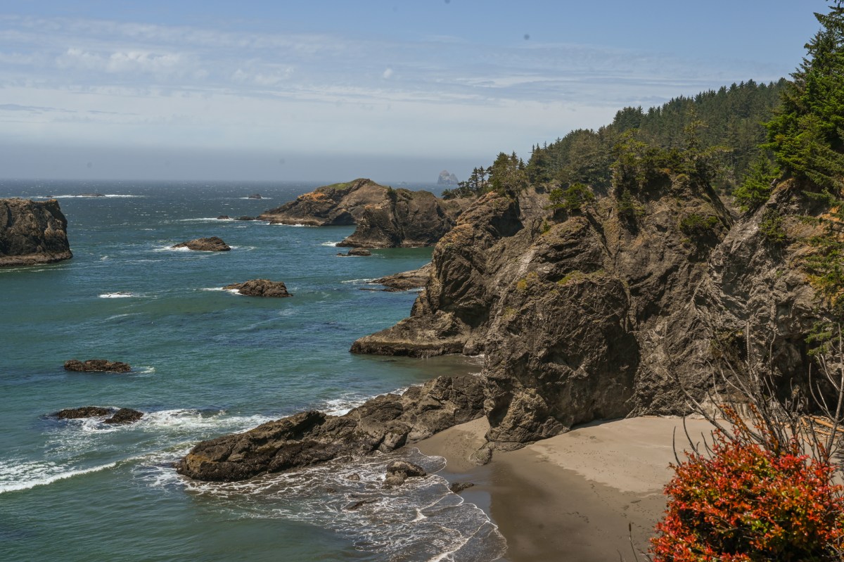 Hobbit Trail in Florence, Oregon: A Magical Forest to Beach Hike