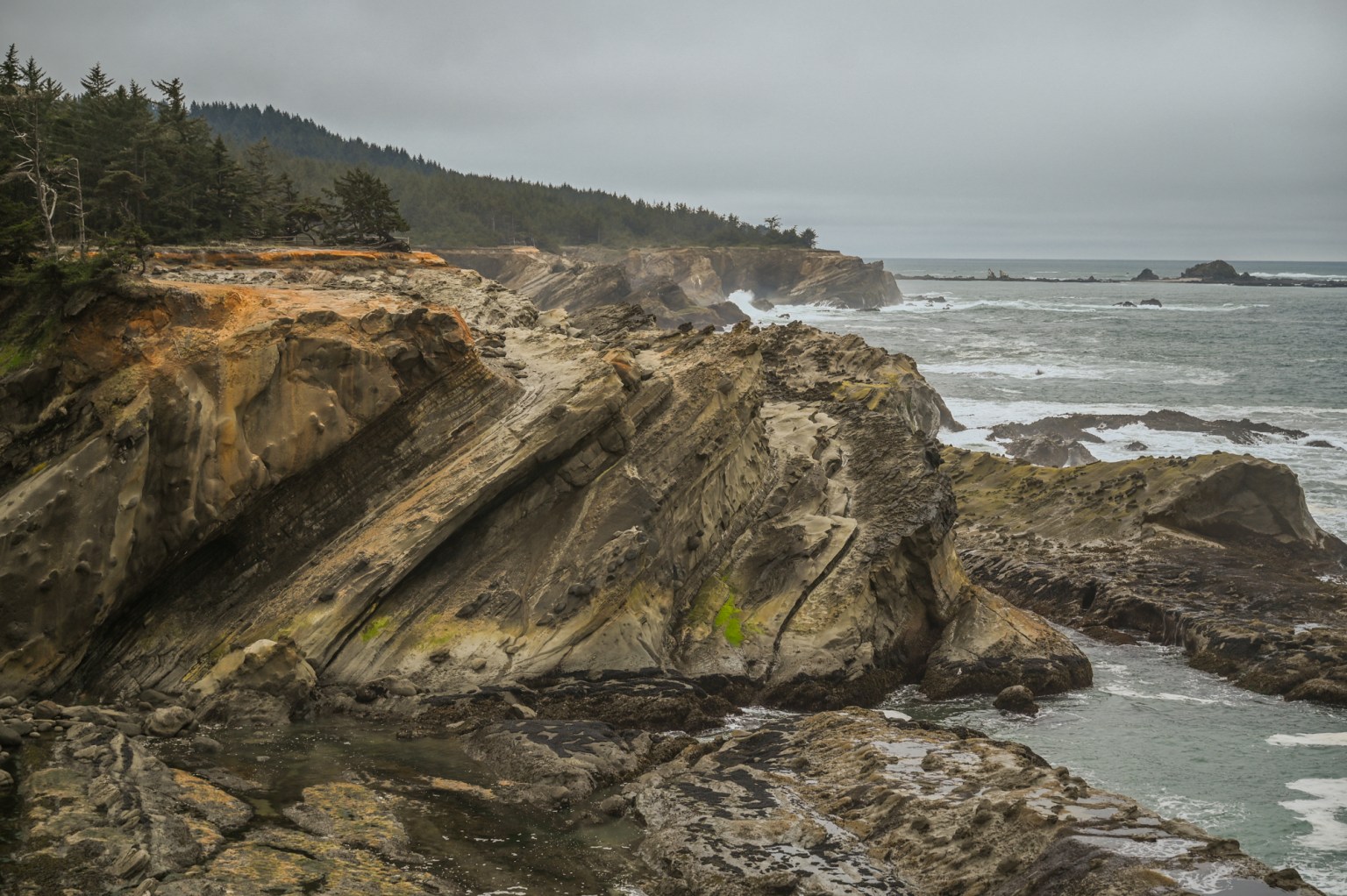 10 Best Things to do in Shore Acres State Park, Oregon
