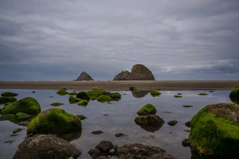 Why Oceanside, Oregon is Worth a Visit: A Hidden Gem on the Oregon Coast