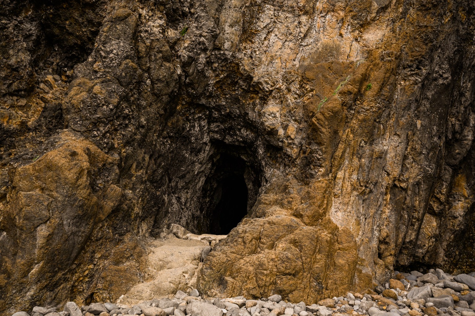 Why Oceanside, Oregon is Worth a Visit: A Hidden Gem on the Oregon Coast