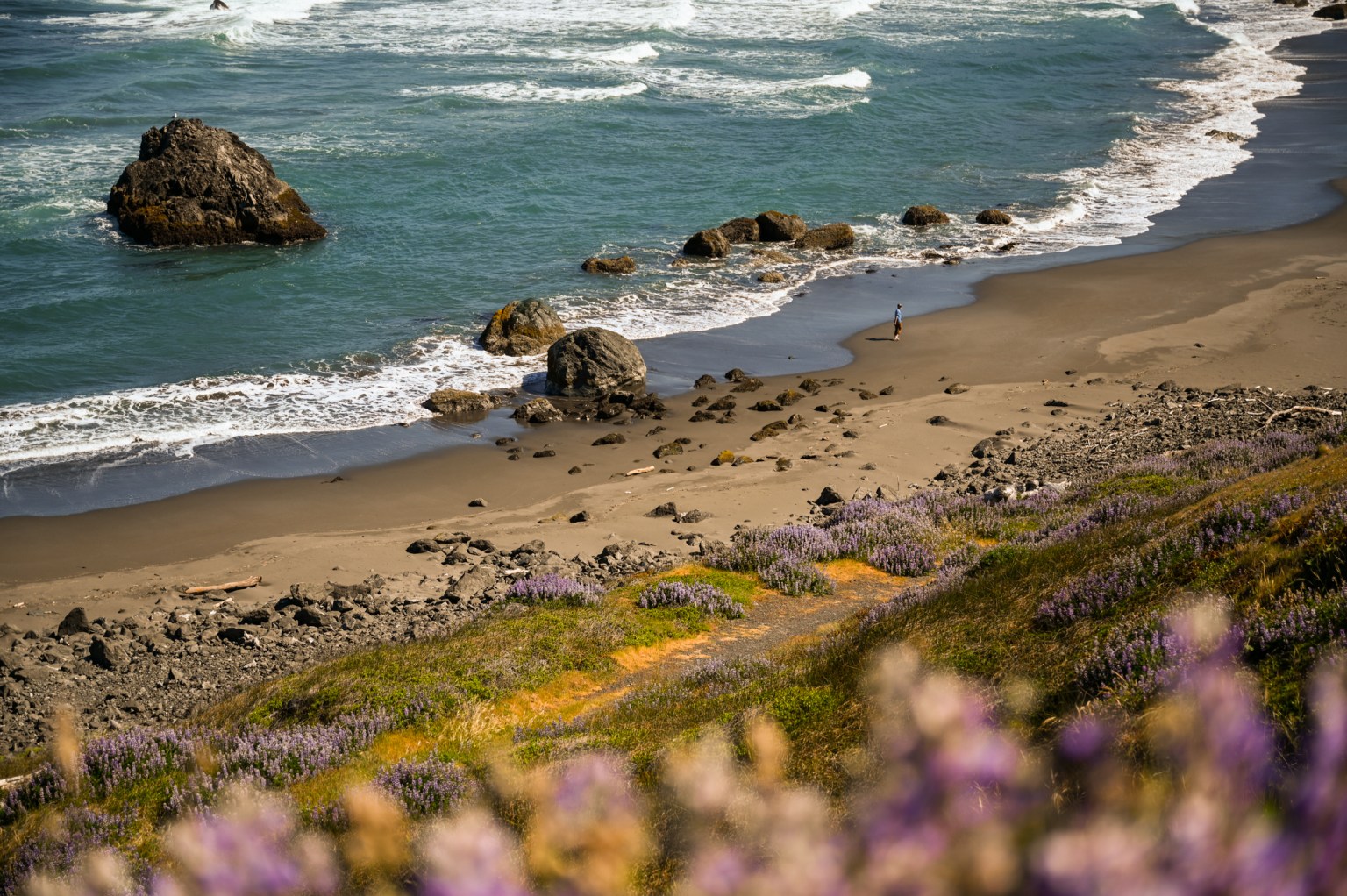 20 Amazing Things to do in Coos Bay, Oregon